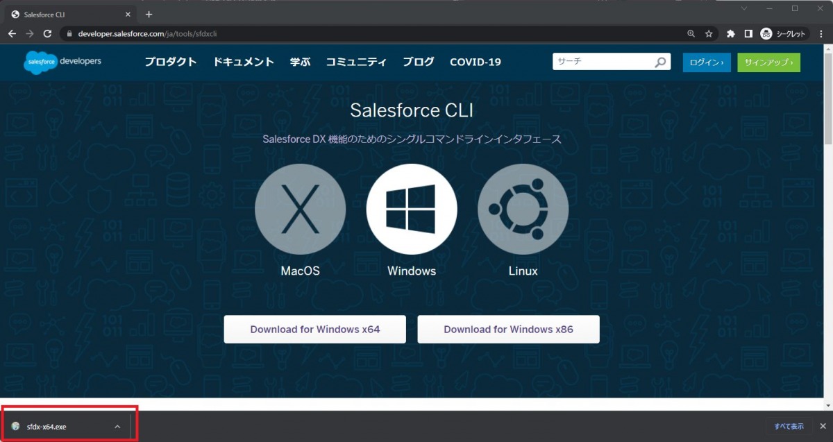 SalesforceのLWCとは？Web標準で開発できる環境を準備してみよう - 株式会社日本システムデザイン