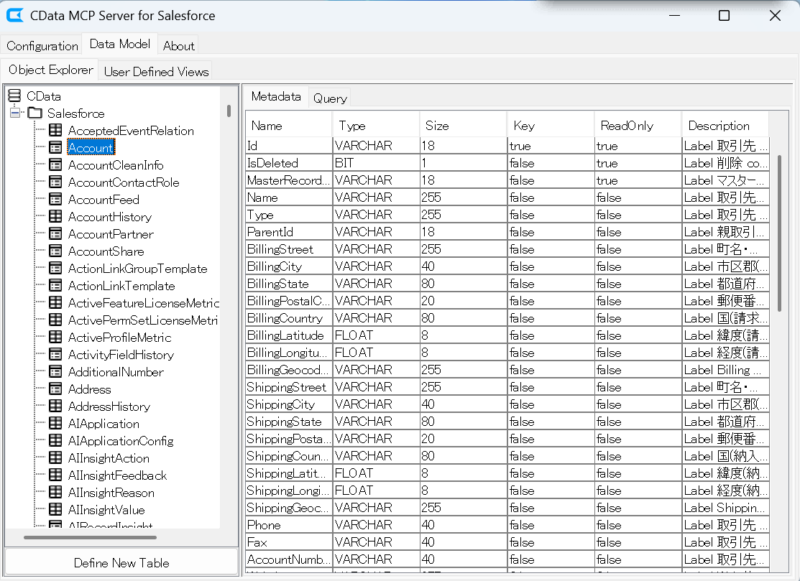MCPサーバーを利用しSalesforceデータ分析！ - 株式会社日本システムデザイン