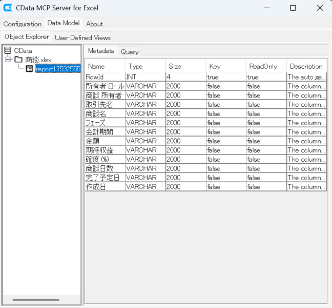MCPサーバーを利用しSalesforceデータ分析！ - 株式会社日本システムデザイン